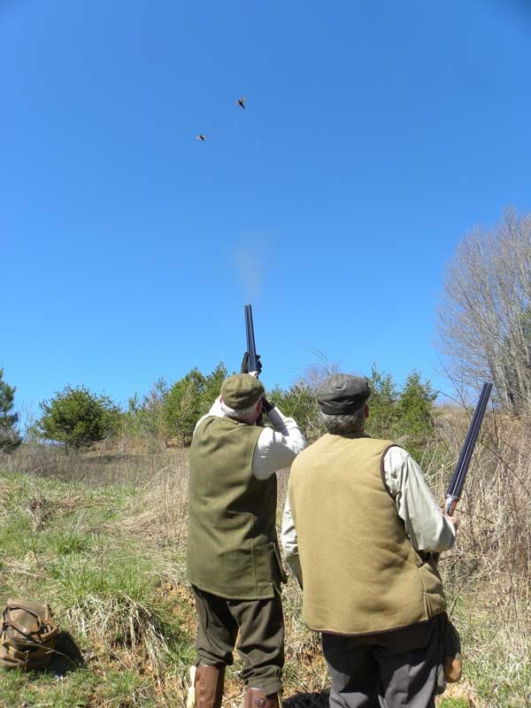 Primland - One-of-a-Kind Shooting Resort | Shooting Sportsman